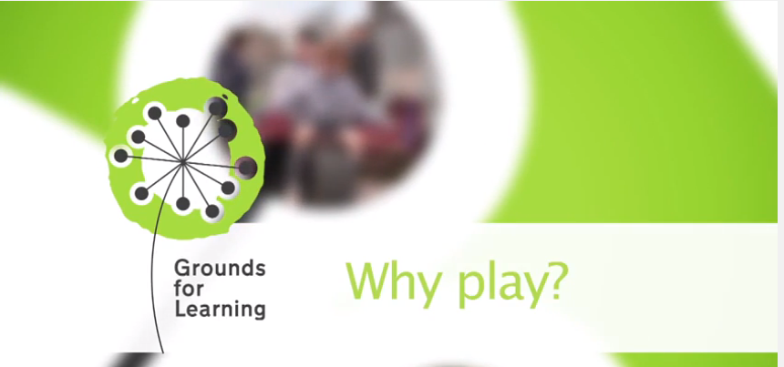 Learning Through Landscapes – Sciennes Primary School